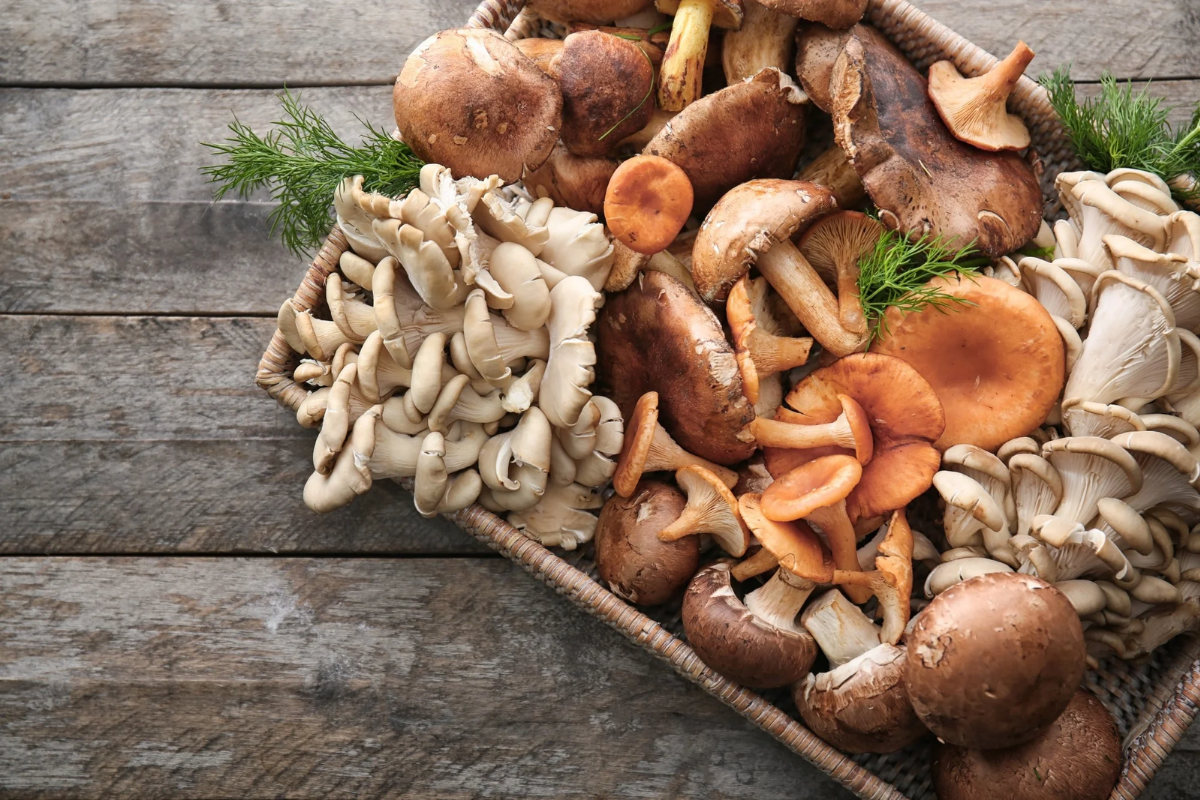 Can Mushrooms Really Help Perimenopause and Menopause? - Antigravity ...